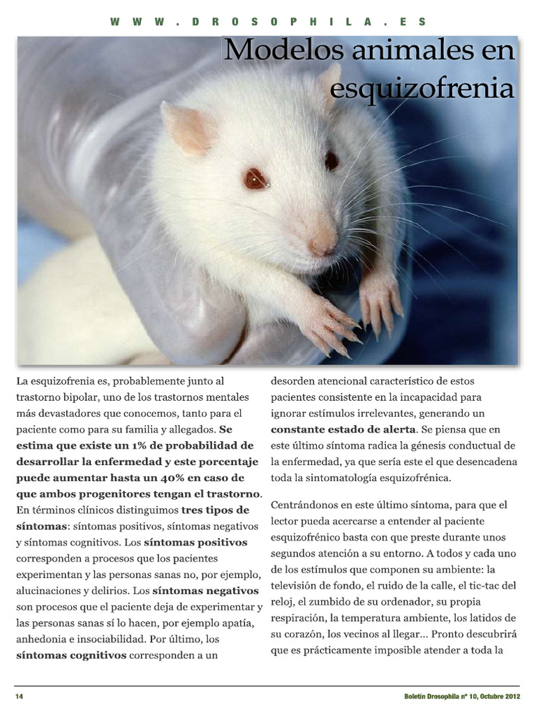 Modelos Animales Esquizofrenia | PDF