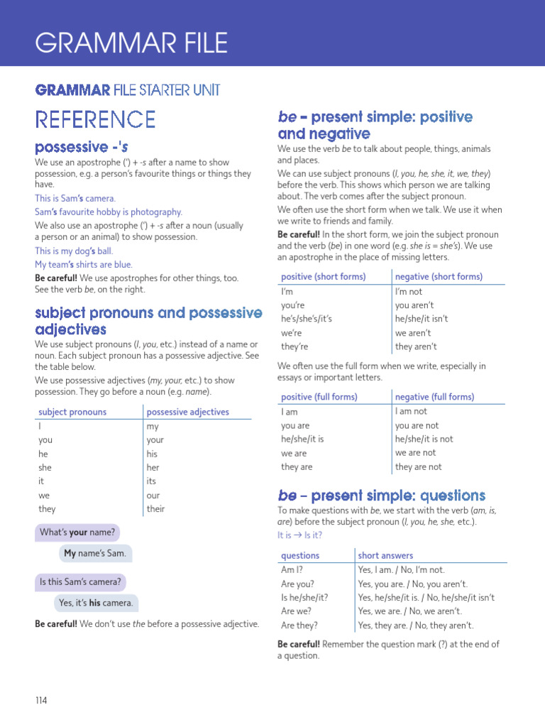 Gold Exp 2e A1 GrammarFiles | PDF | Grammatical Number | Plural