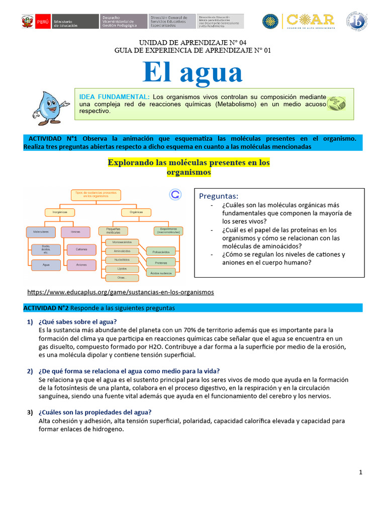 El agua | Descargar gratis PDF | Enlace covalente | Propiedades del agua