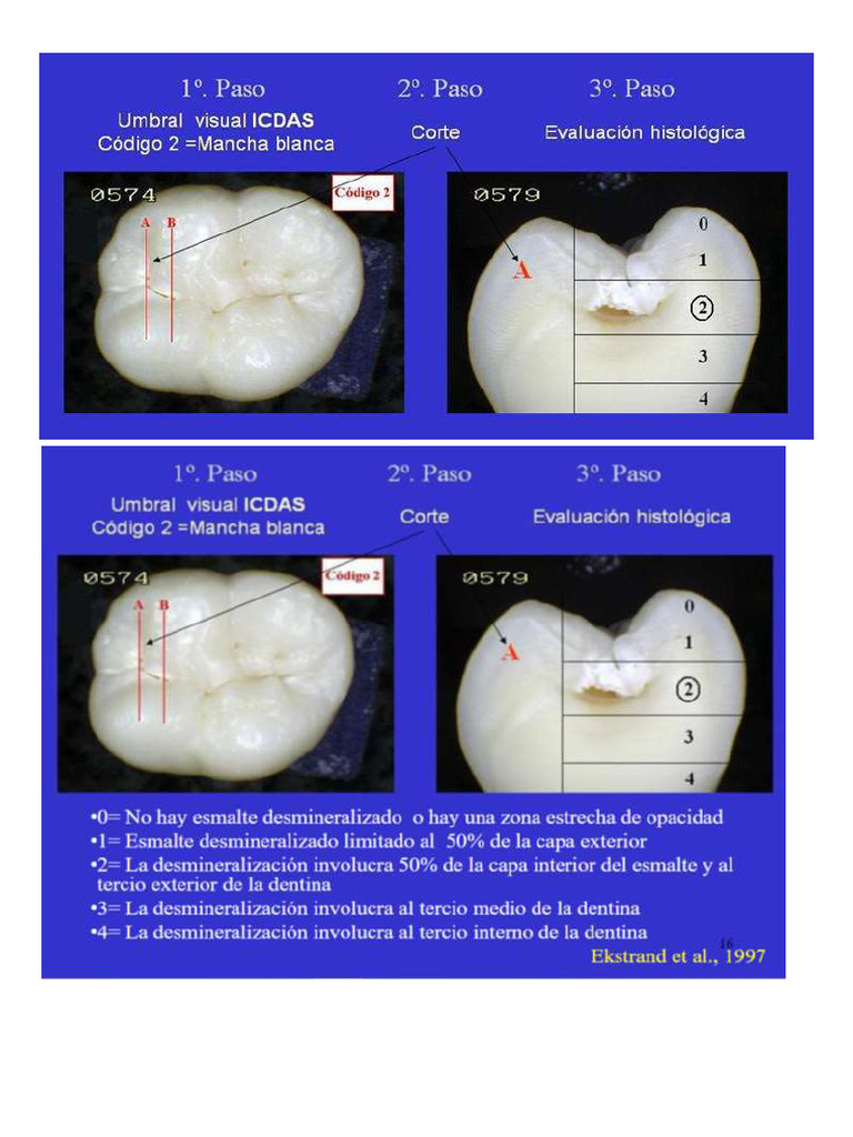 Icdas | PDF