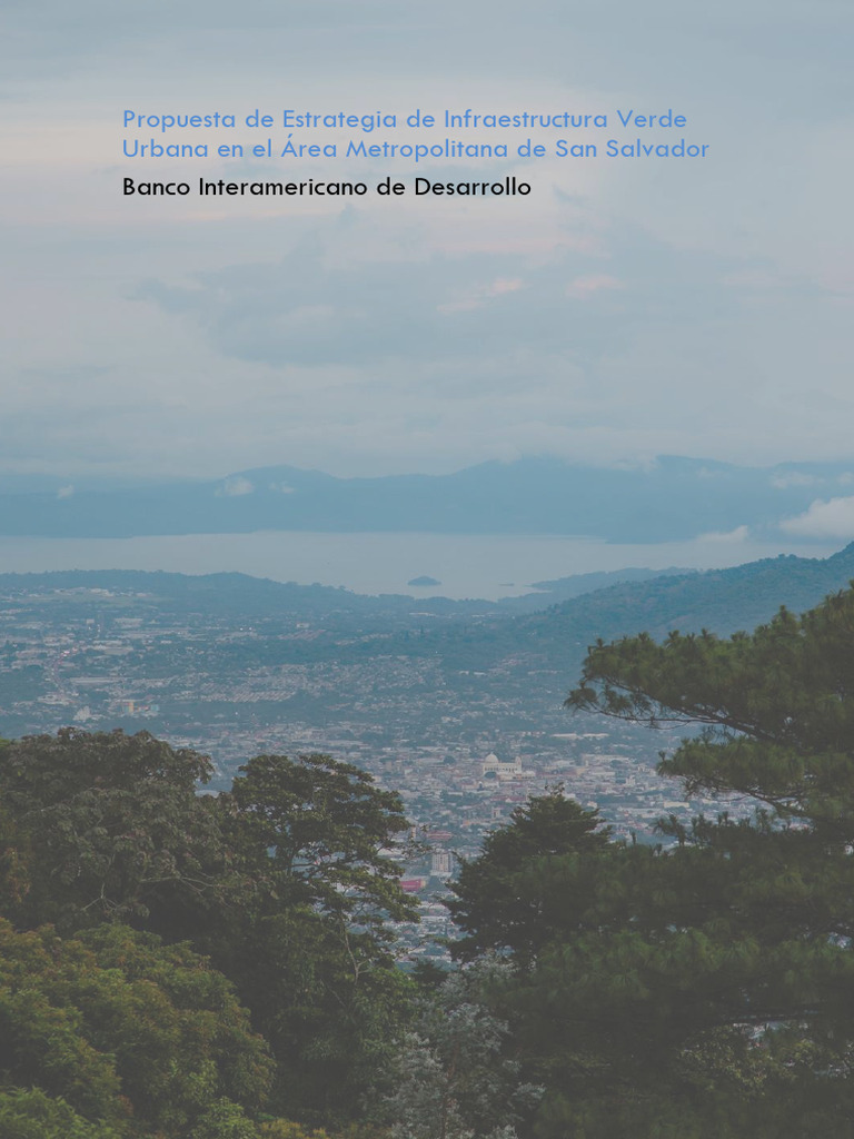 Estrategia IVU AMSS | PDF | Peatonal | Organización no gubernamental