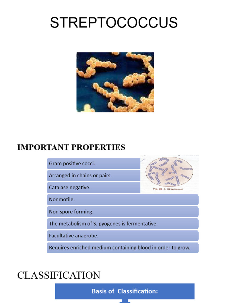 Gram Positive Cocci - STREPTOCOCCUS | PDF | Streptococcus | Diseases ...