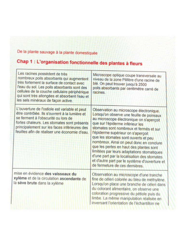 Chap 1 Plante | PDF