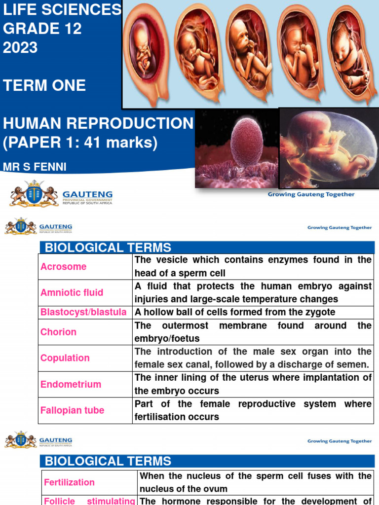 Grade 12 Human Reproduction Guide | PDF | Menstrual Cycle | Ovary