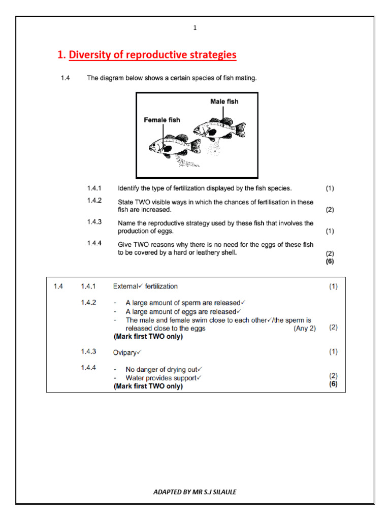 Grade 12 Human Reproduction Guide | PDF | Biological Interactions ...