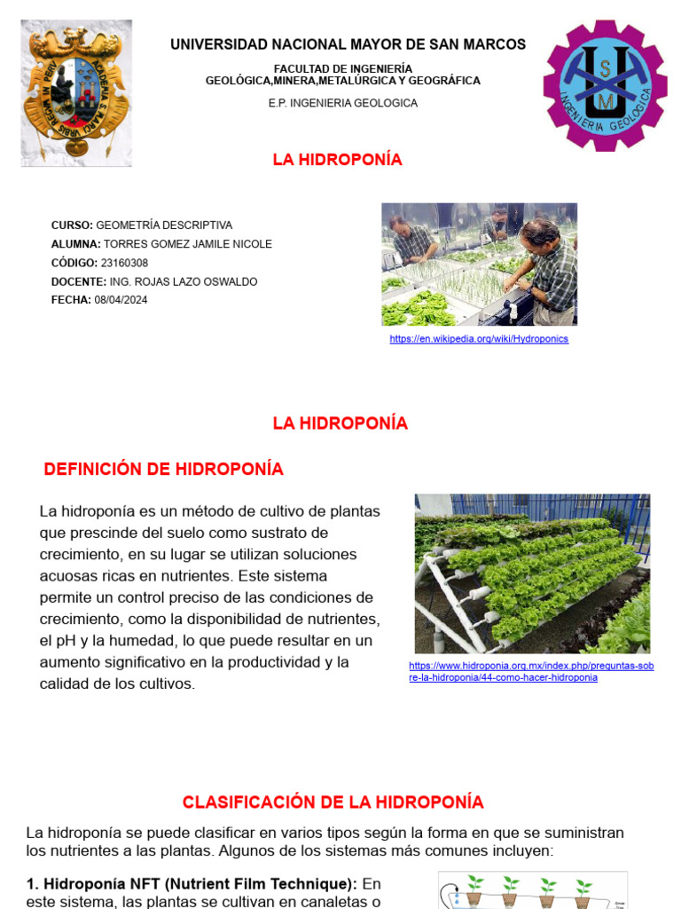 LA HIDROPONIA | Descargar gratis PDF | Hidroponia | Agricultura