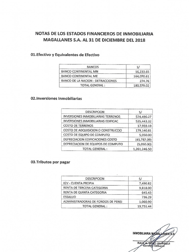 Nota de Los Estados Financieros | PDF