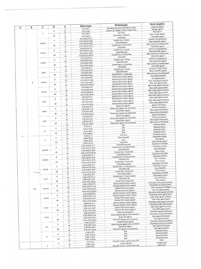 Code Génétique Lapin | PDF