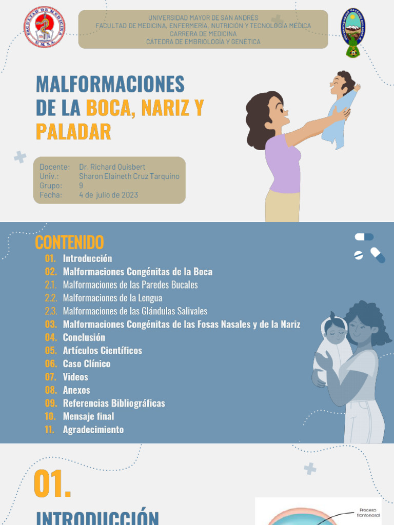 26a 2rev Boca Malf Cruz Sharon | PDF | Cara | Anatomía humana