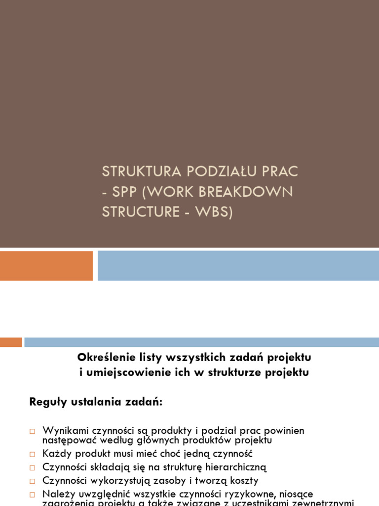 Struktura Podziału Prac | PDF