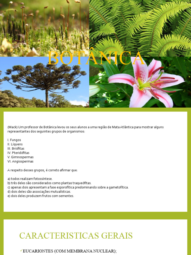 Botanica - Aula Completa 1.1 | PDF | Raiz | Plantas