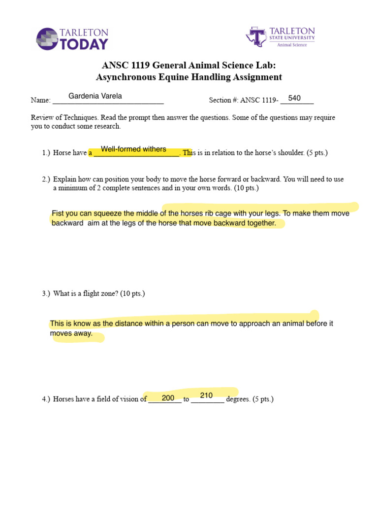 Asynchronous Equine Handling Guide | PDF | Horses