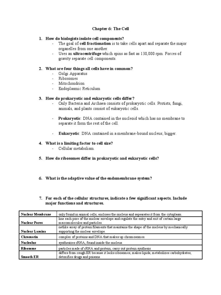 Understanding Cell Structure and Function | PDF | Cell Nucleus | Cell ...