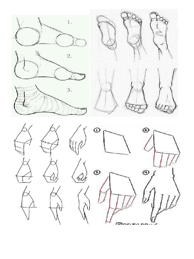 Dibujo Corporal | PDF