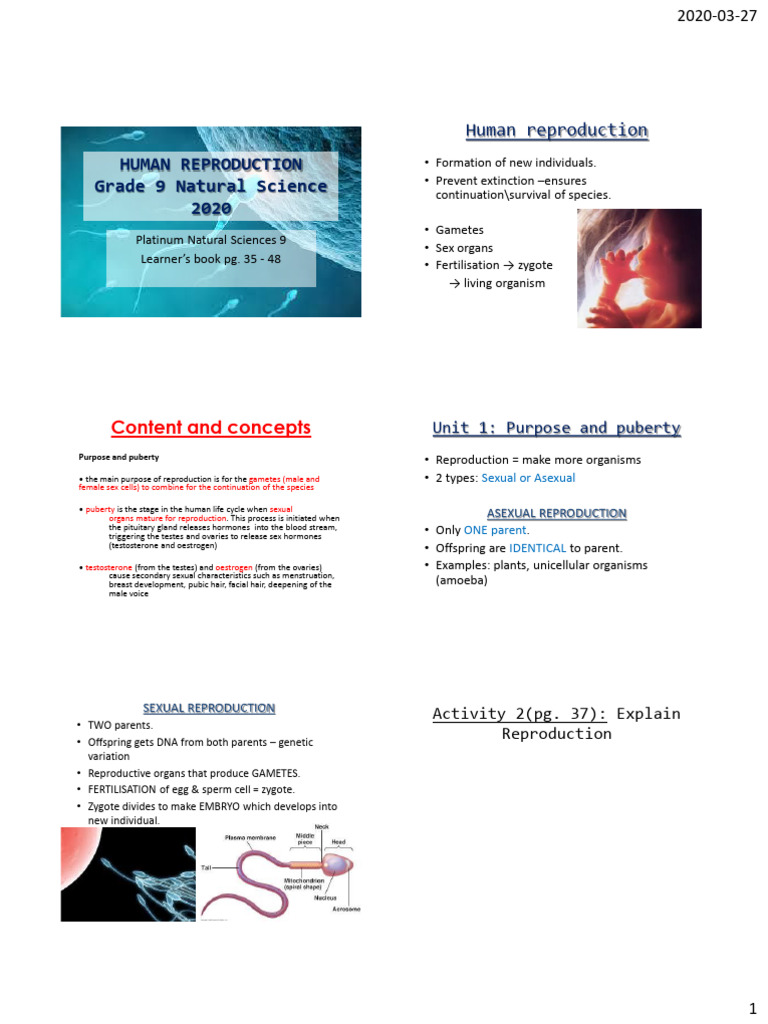 TOPIC 3 HUMAN REPRODUCTION NOTES | PDF | Menstrual Cycle | Reproductive ...