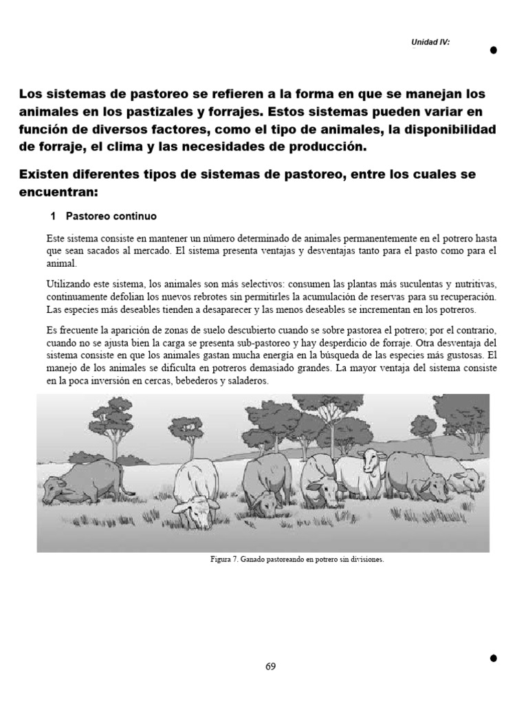 Sistemas de Pastoreo: Tipos y Manejo | PDF | Pasto | Pasto