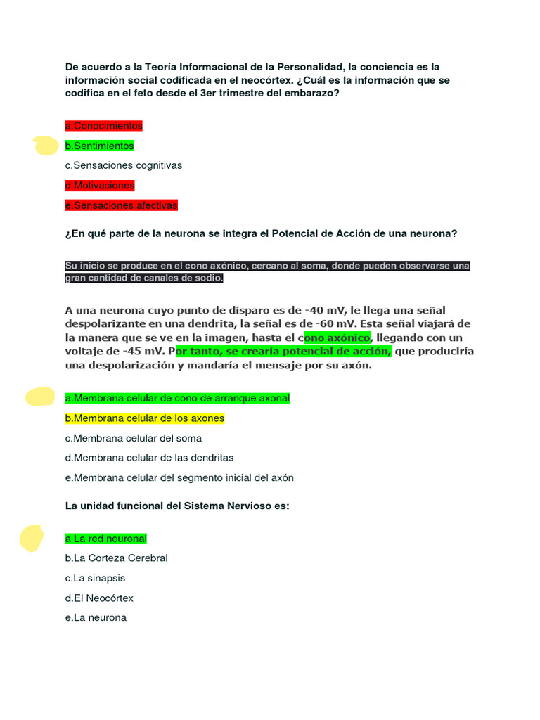 Fisio Neuro - Examen Teórico-5-Complemento | PDF | Neurona | Axon