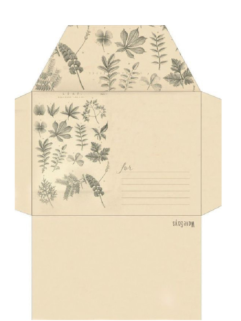 formato de sobre | PDF