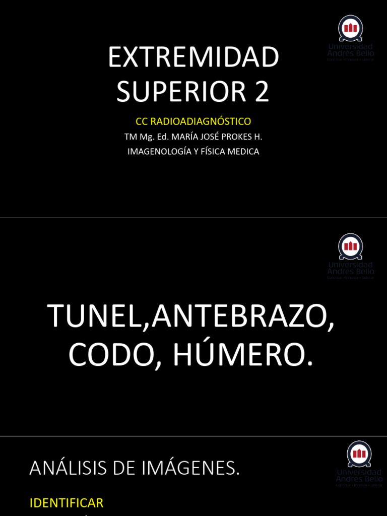 4 Análisis Imagenes Eess 2 | PDF | Codo | Mano