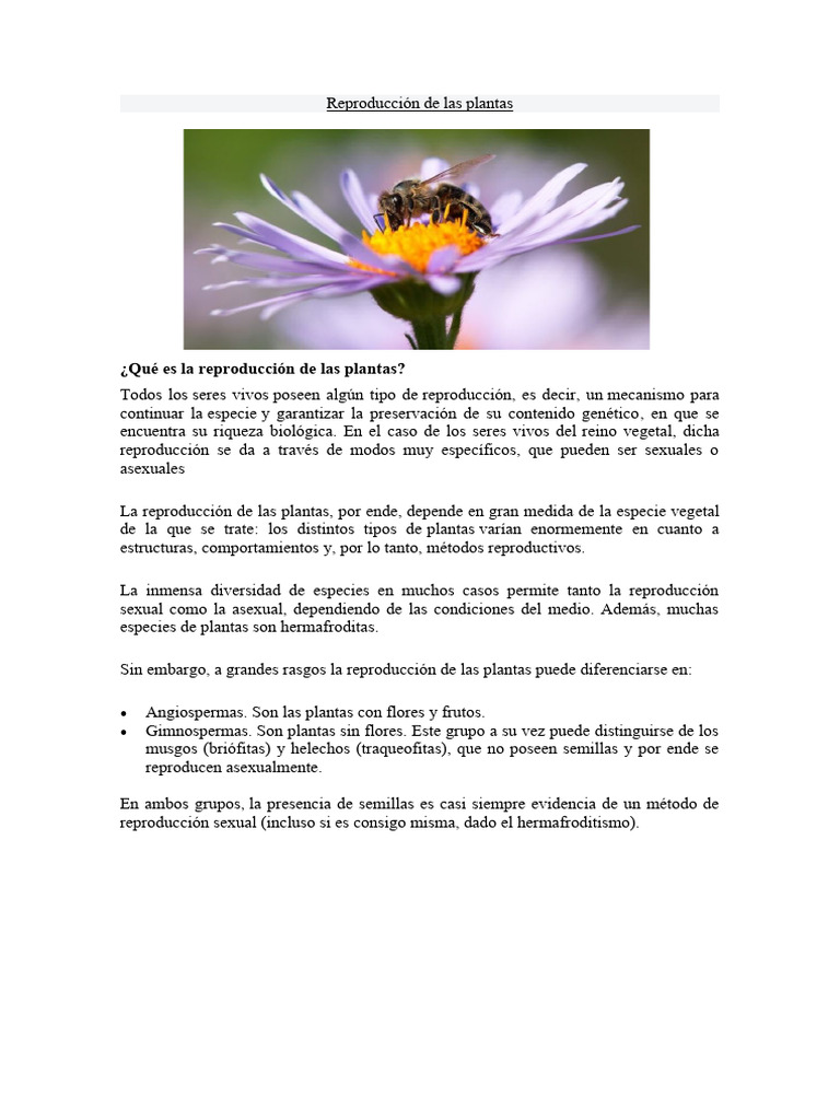Reproducción de las plantas | Descargar gratis PDF | Plantas | Reproducción sexual