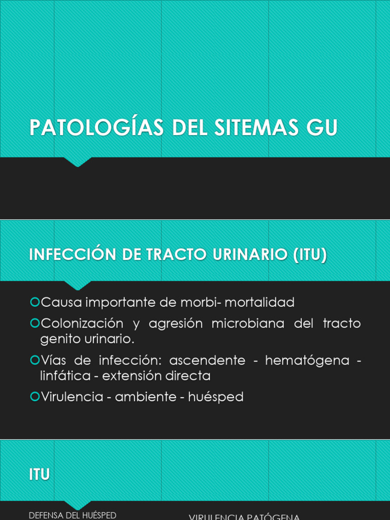 Infecciones y Patologías del Tracto Urinario | PDF | Medicina | Urología