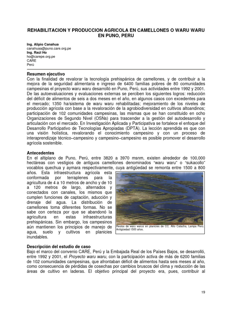 Camellones Puno | PDF | Agricultura | Patata