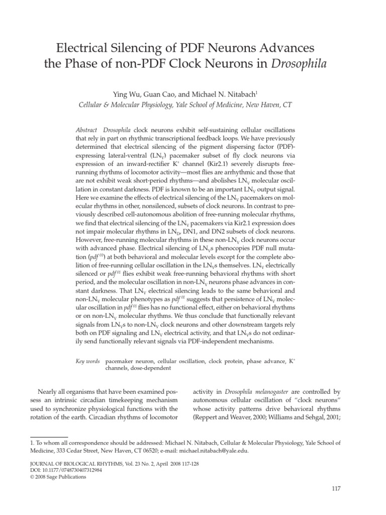Wu Et Al 2008 Electrical Silencing of PDF Neurons Advances The Phase of ...