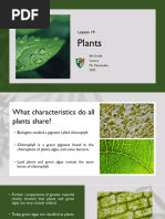 Testing Leaves For Starch | PDF | Photosynthesis | Leaf