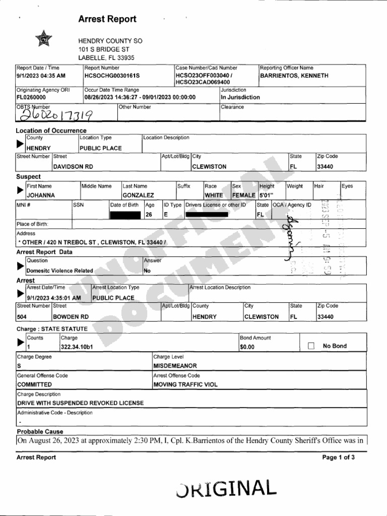 Johannabookingreport | PDF