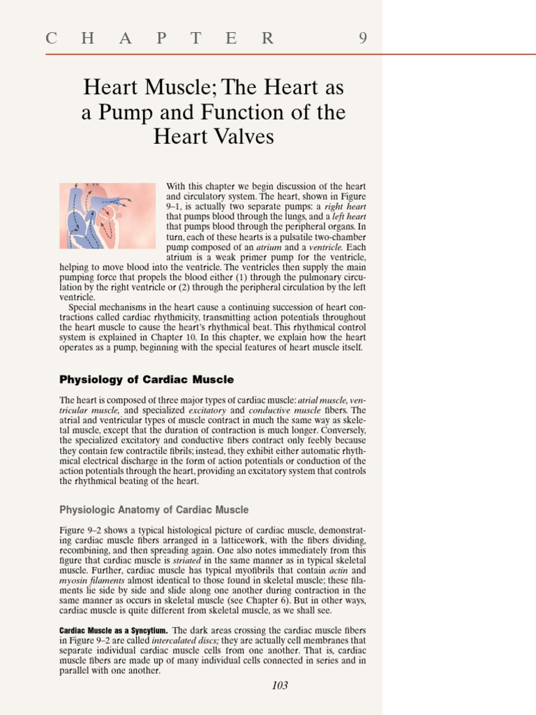 Guyton Chapter 9 | PDF | Heart Valve | Diastole