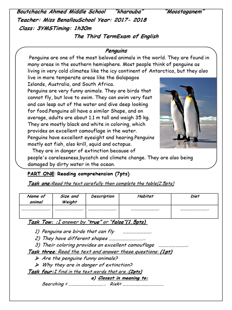 3YMS-Third-EXAM | Download Free PDF | Penguin | Hunting