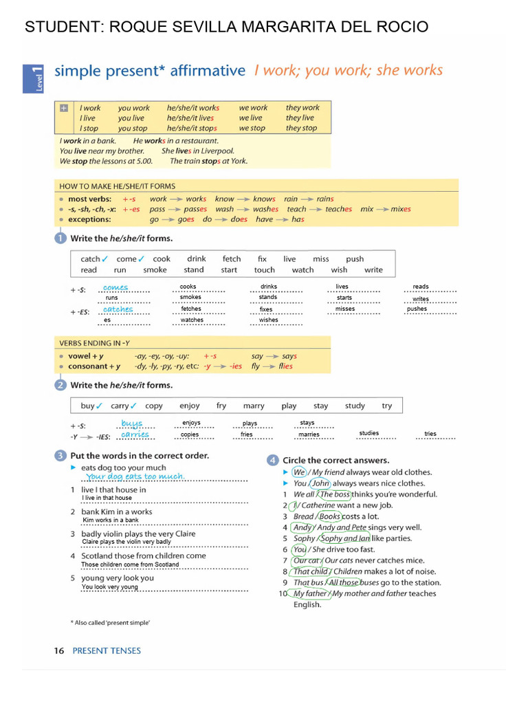 Grammar Workshop #2 - Roque | PDF