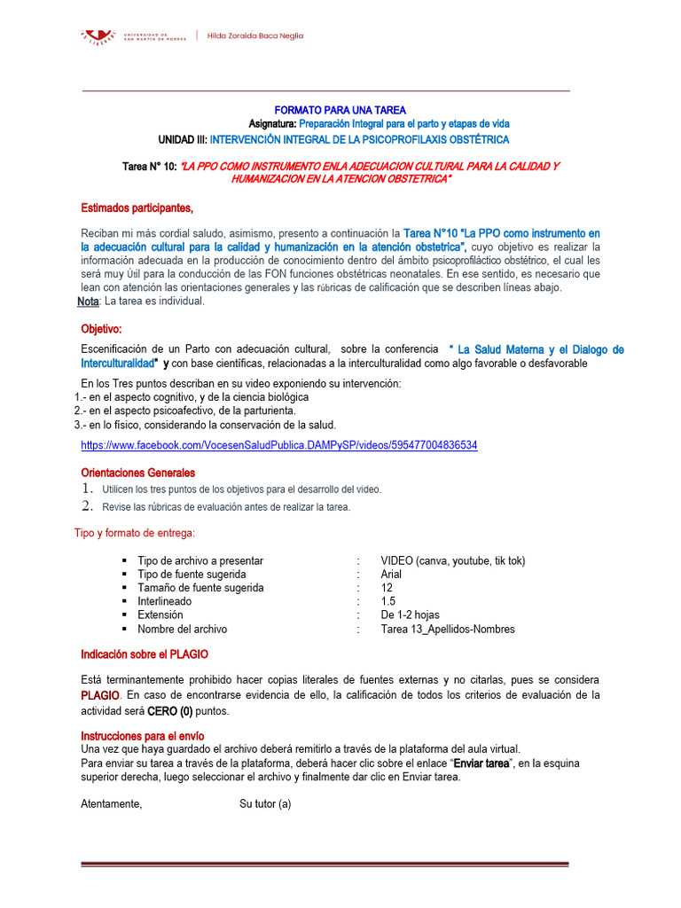 TAREA NÂ°10 PPO con adecuacion INTERCULTURALIDAD | PDF