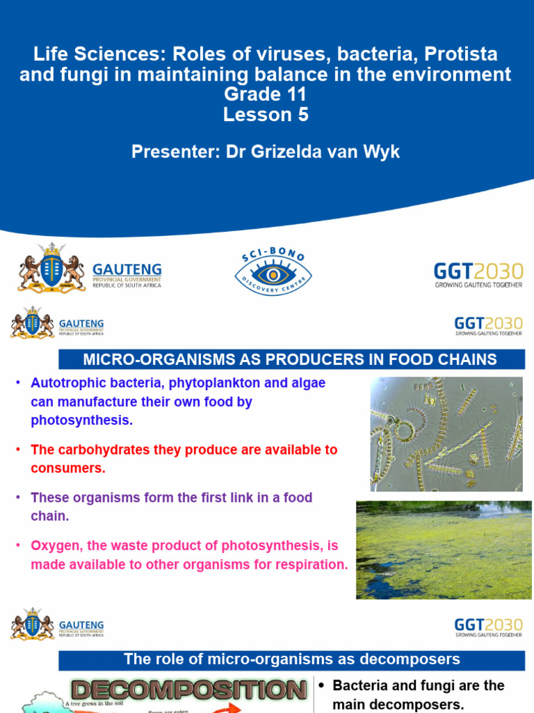 Life Sciences Gr.11 Lesson 5 Roles of Micro Organisms in Maintaining ...