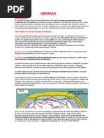 Anatomia da Região Inguinal | PDF | Anatomia
