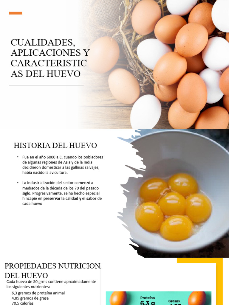 El HUEVO | PDF | Cocinando | Yema de huevo