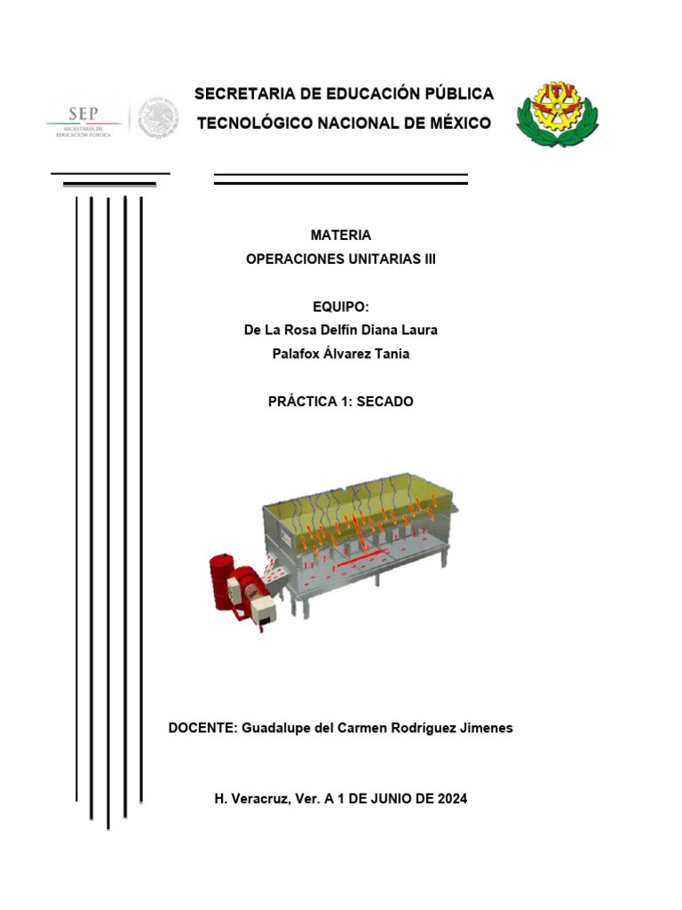 Práctica de Secado | PDF | Temperatura | Alimentos