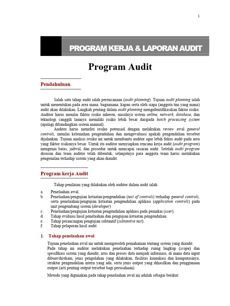 PROGRAM KERJA and LAPORAN AUDIT | PDF