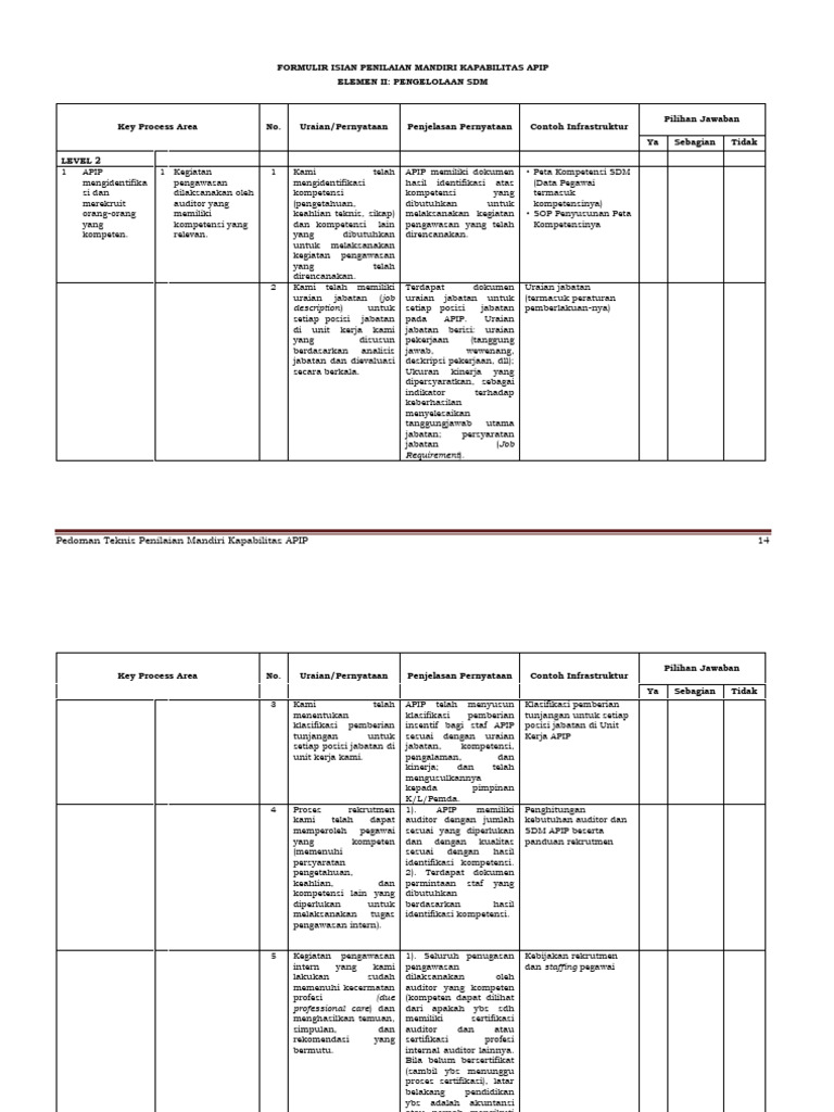Penilaian Mandiri Kapabilitas APIP SDM | PDF