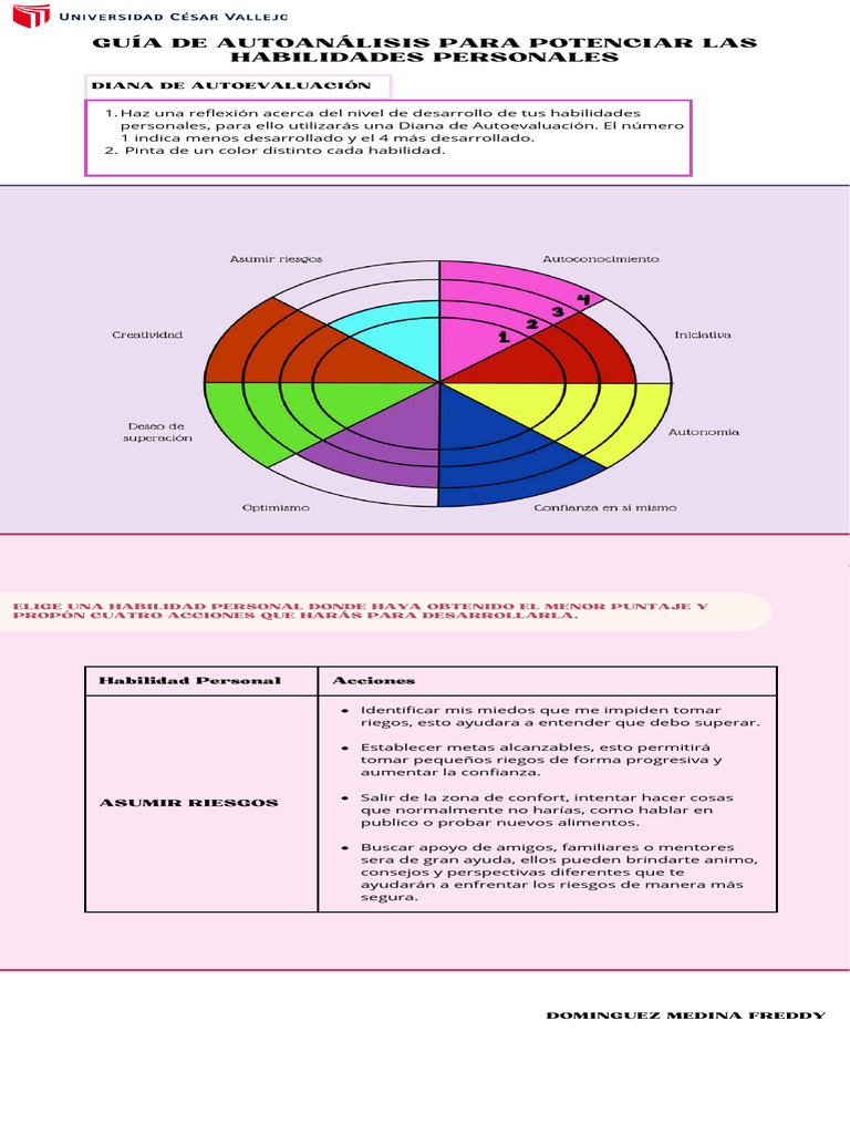 Diana de Auto Evaluacion | PDF
