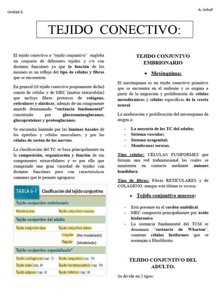 U3 Tejido Conectivo. Biología Animal. | PDF | Tejido conectivo | Linfocitos