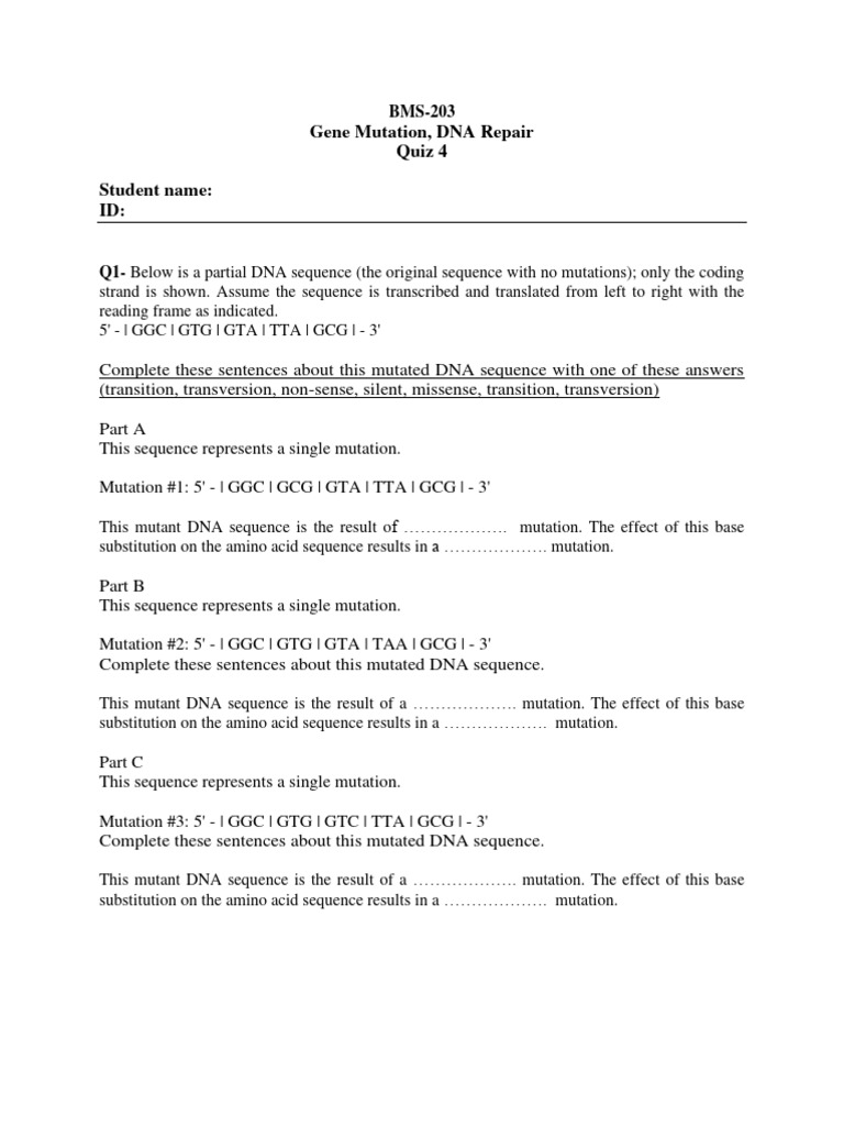 Quiz 5 Model Answer | PDF | Dna Repair | Mutation