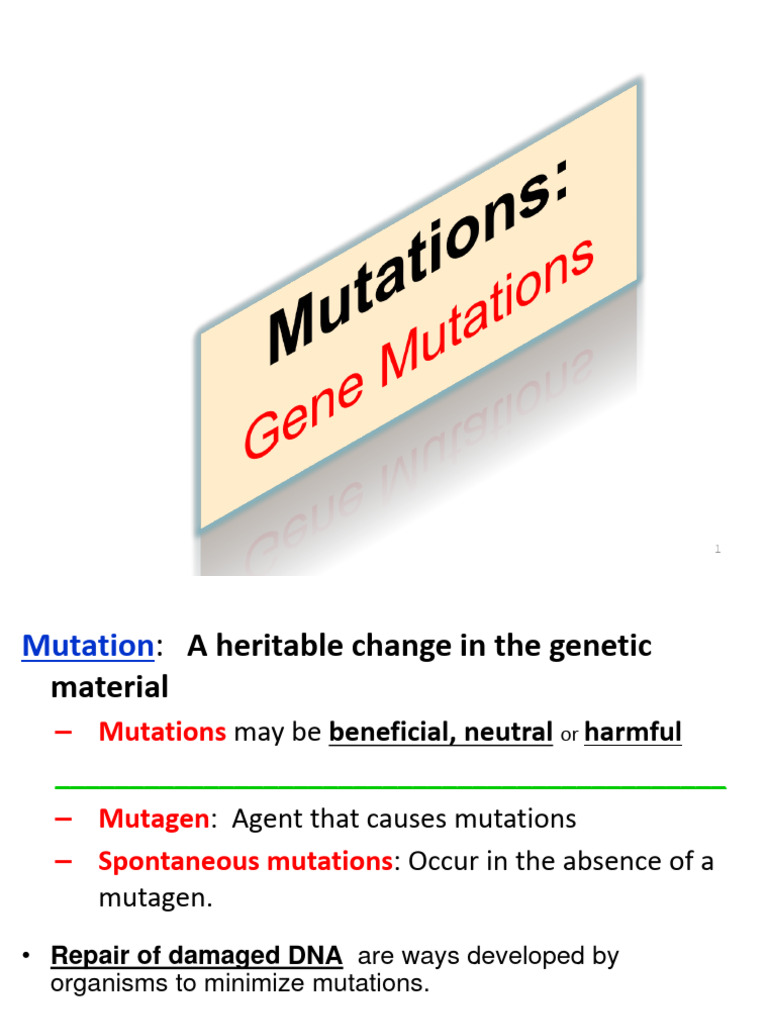 Genetic Mutations | PDF | Mutation | Point Mutation