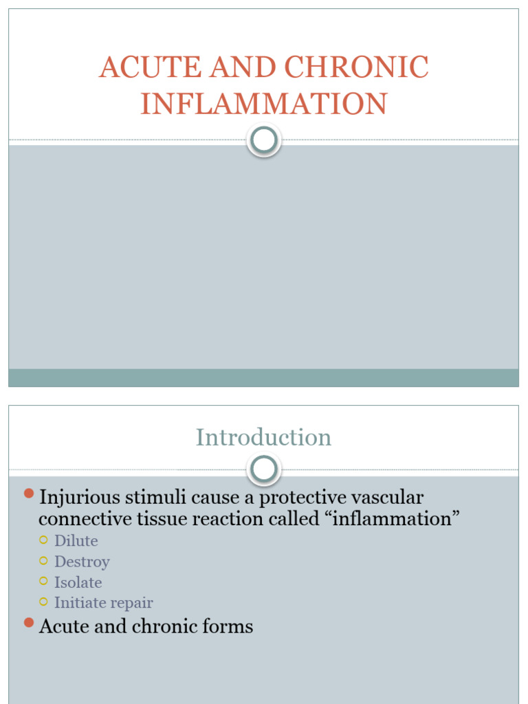 Acute and Chronic Inflammation | PDF | Inflammation | Macrophage