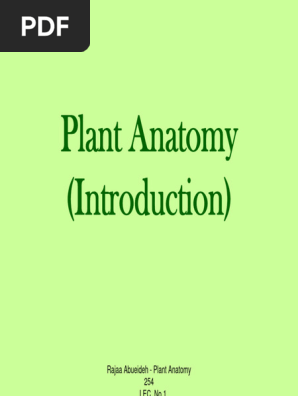 Ppt Chapter 22 Plant Structure And Function Powerpoint