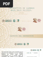 Instructivo Llenado Formato RAIS IMSS | PDF | Dietético | Medicina Familiar