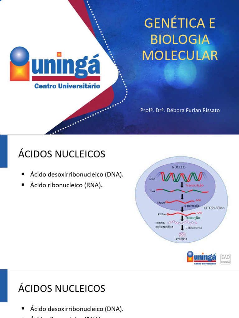 Estrutura e Função do DNA e RNA | PDF