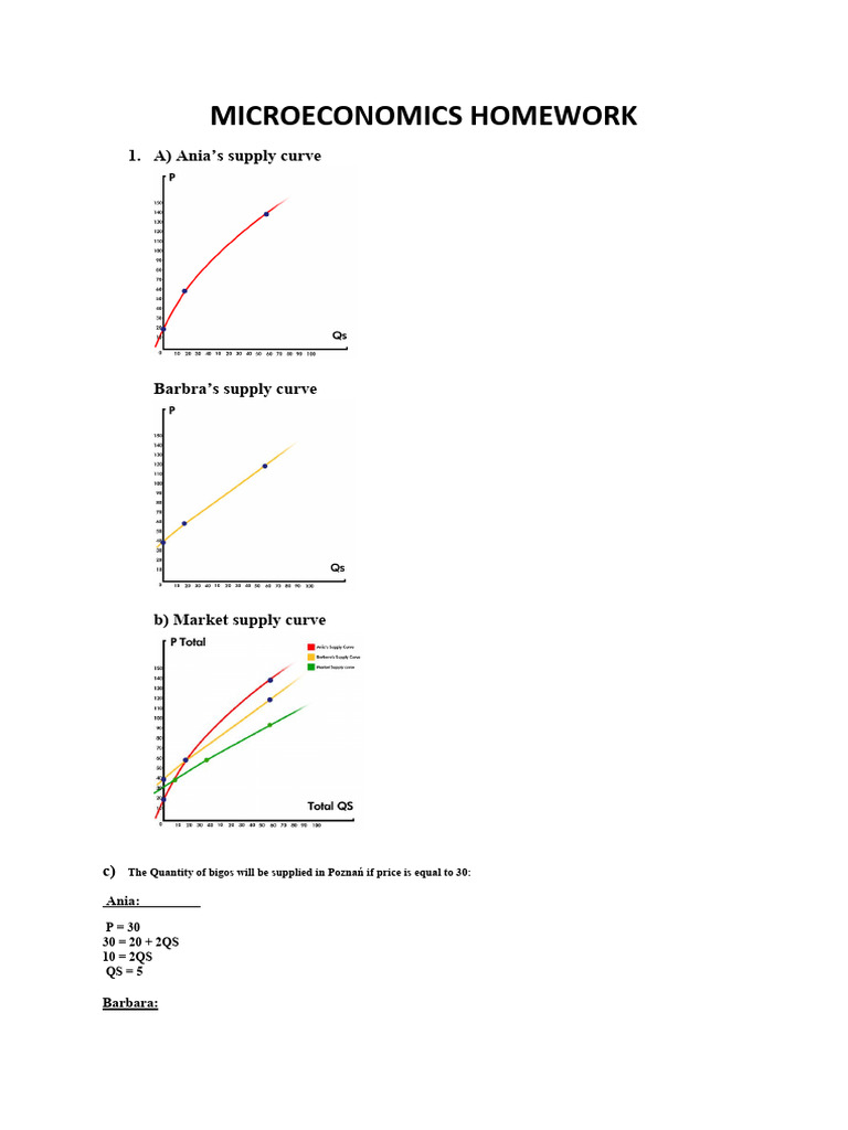 MICROECONOMICS HOMEWORK | PDF