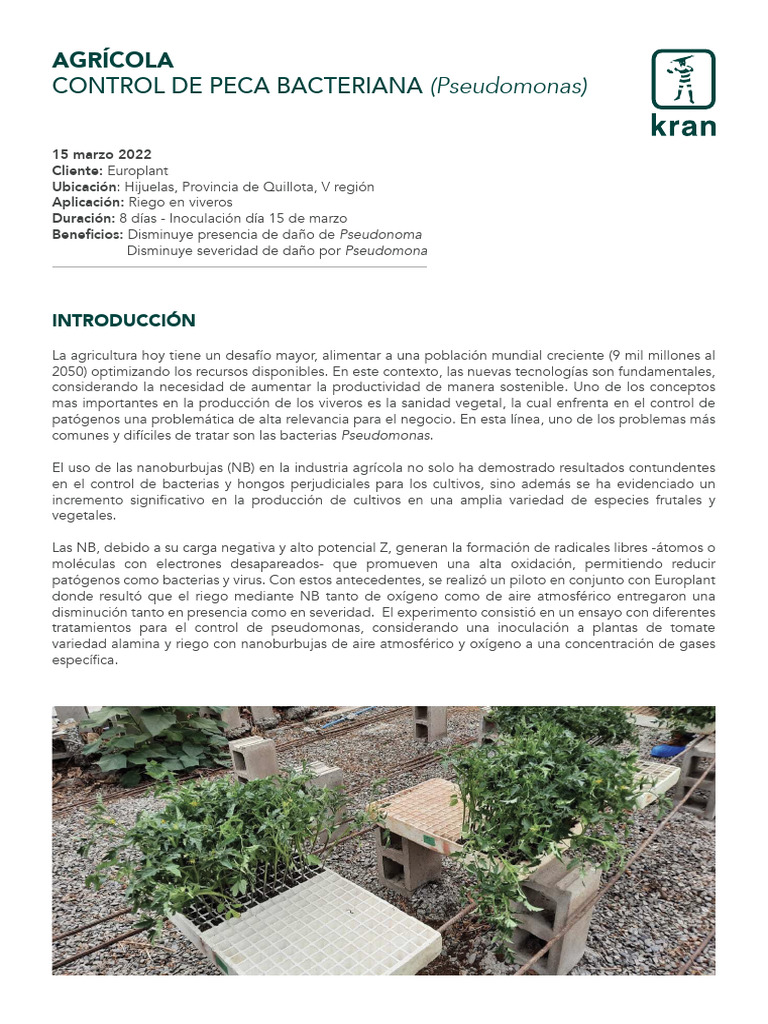 Control Pseudomonas | PDF | Agricultura | Pseudomonas