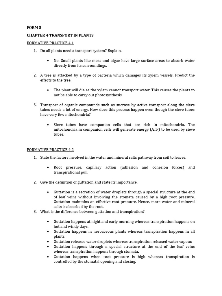 Bio Form 5 Chapter 4 | PDF | Leaf | Root